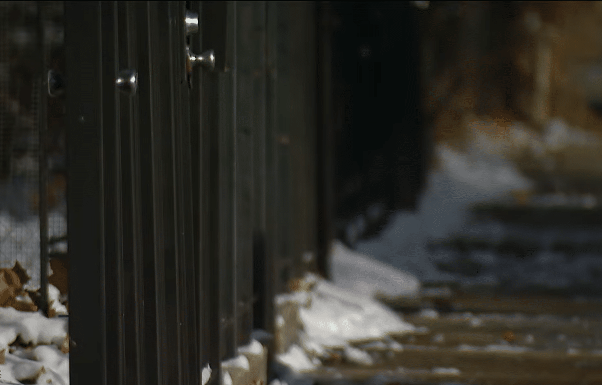 Phoenix teen killed neighbor, lived in victim’s home – Conservative Star